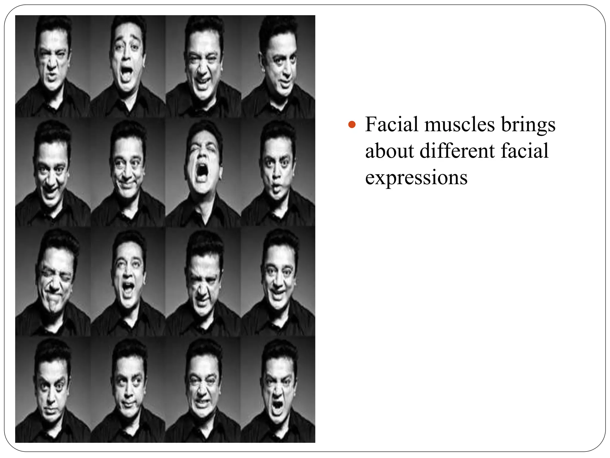 MUSCLES OF FACIAL EXPRESSION | PPTX