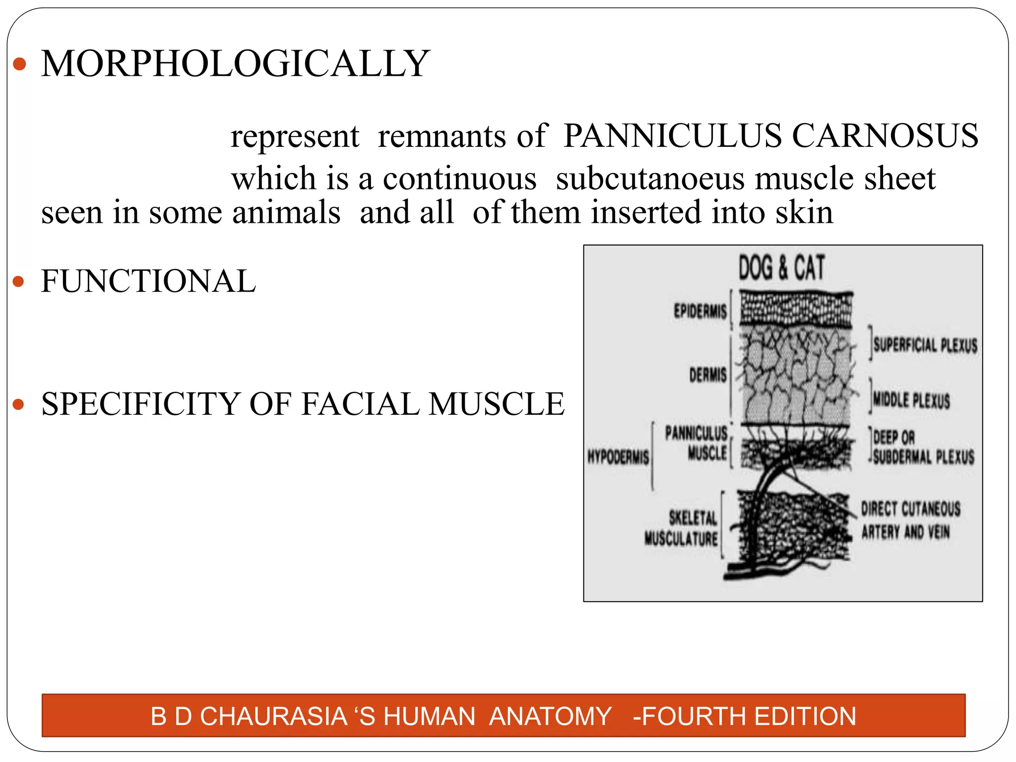 MUSCLES OF FACIAL EXPRESSION | PPTX