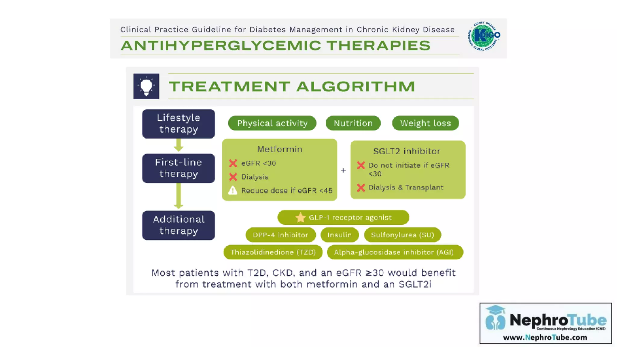 Diabetes Mellitus Management in CKD (Clinical Tips) - Dr. Gawad | PPT