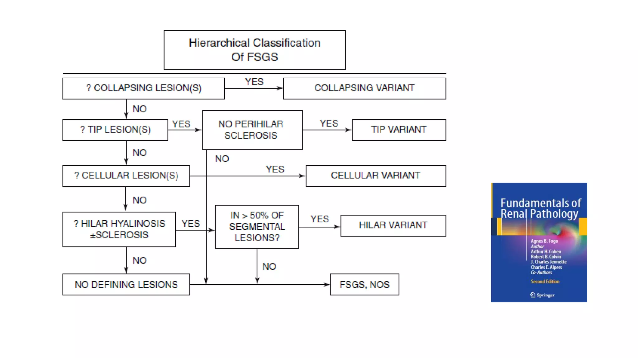 Focal Segmental Glomerulosclerosis - FSGS (KDIGO 2021 Guidelines) - Dr ...