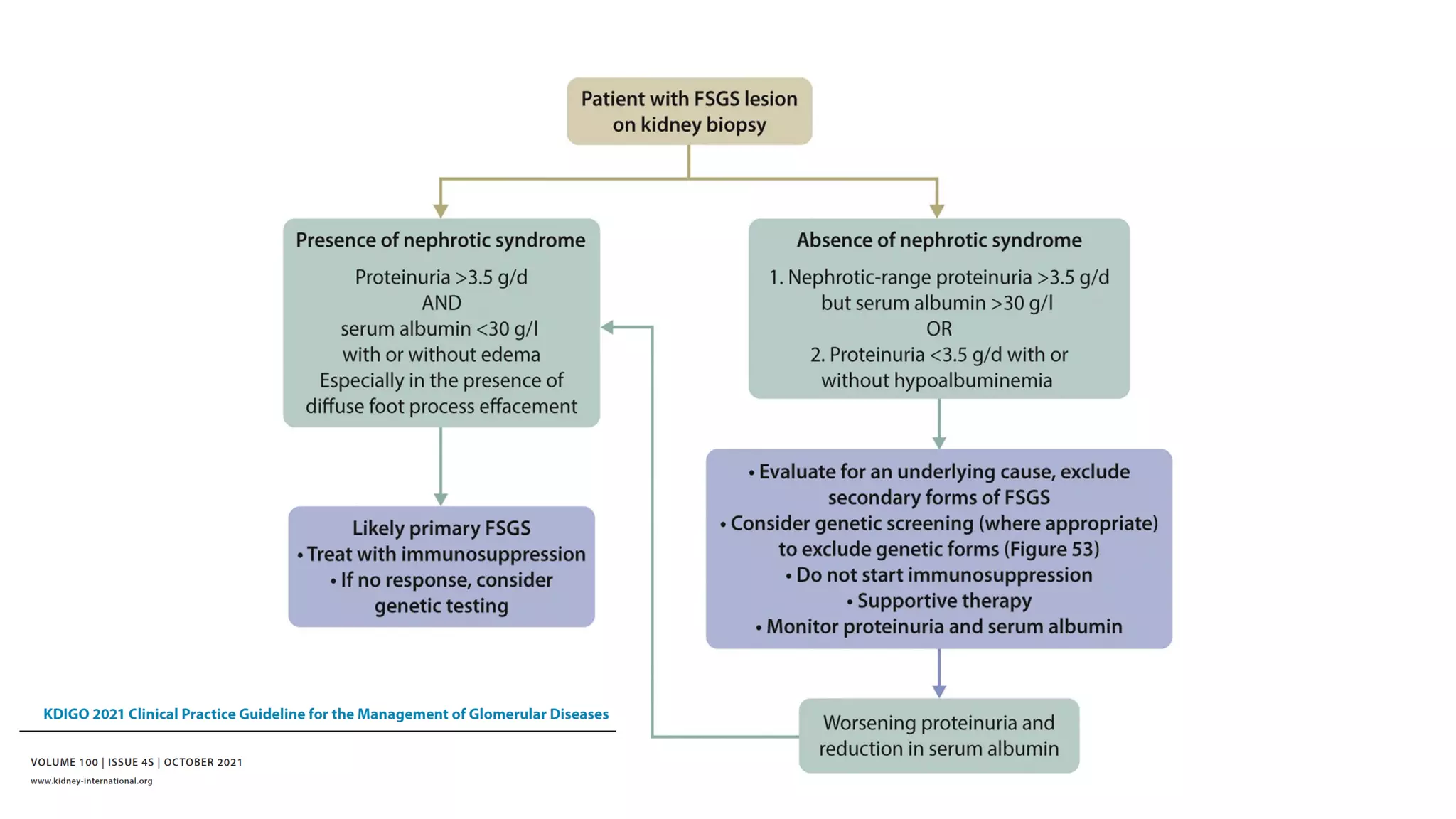 Focal Segmental Glomerulosclerosis - FSGS (KDIGO 2021 Guidelines) - Dr ...