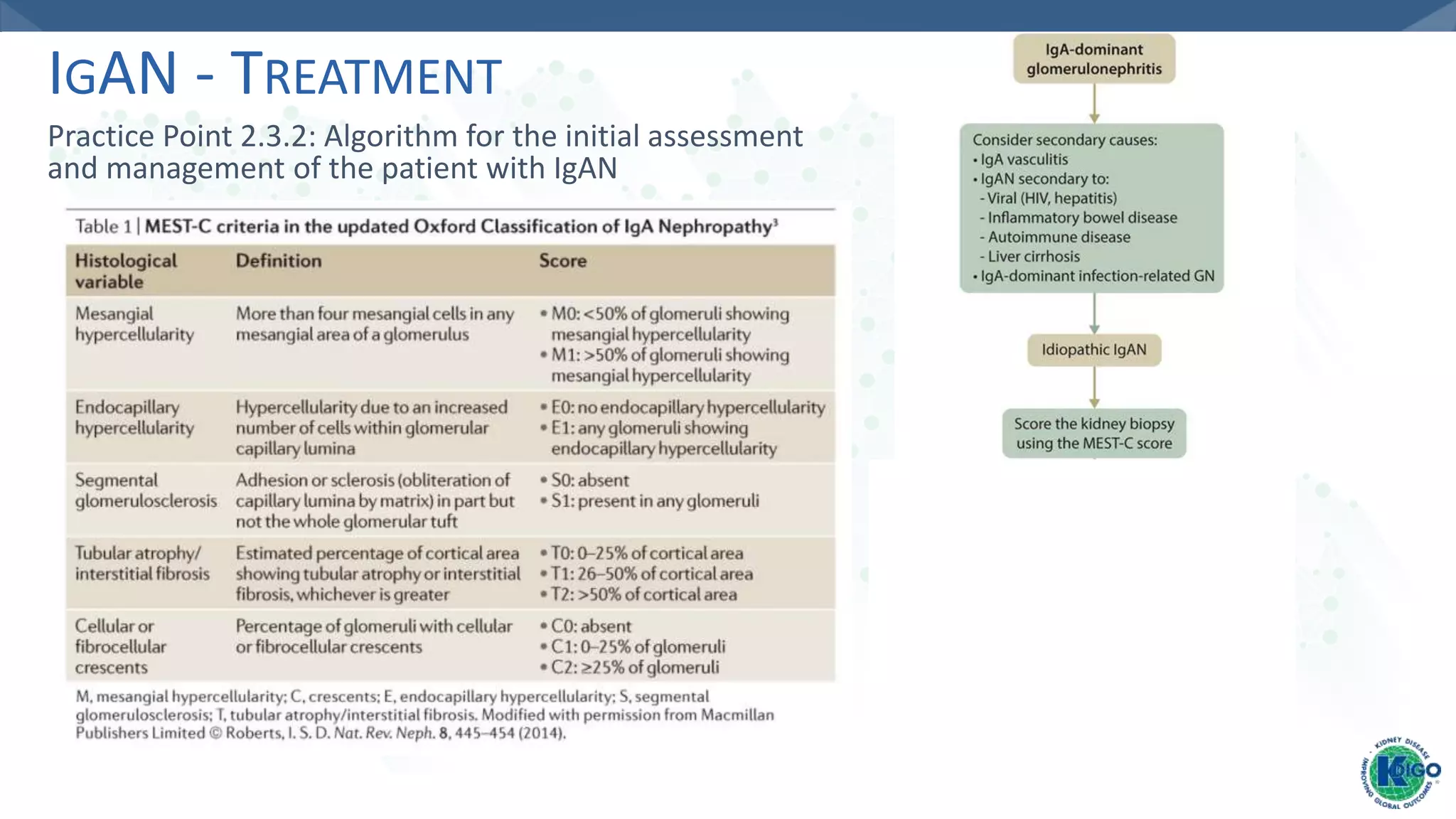 IgA Nephropathy (KDIGO 2021 Guidelines) - Dr. Gawad | PPTX