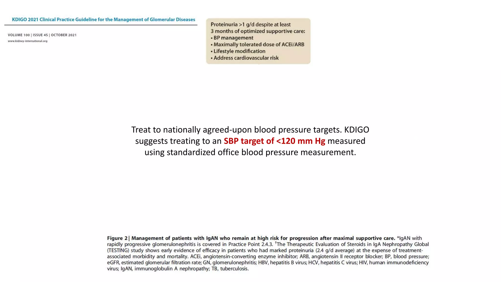 IgA Nephropathy (KDIGO 2021 Guidelines) - Dr. Gawad | PPTX