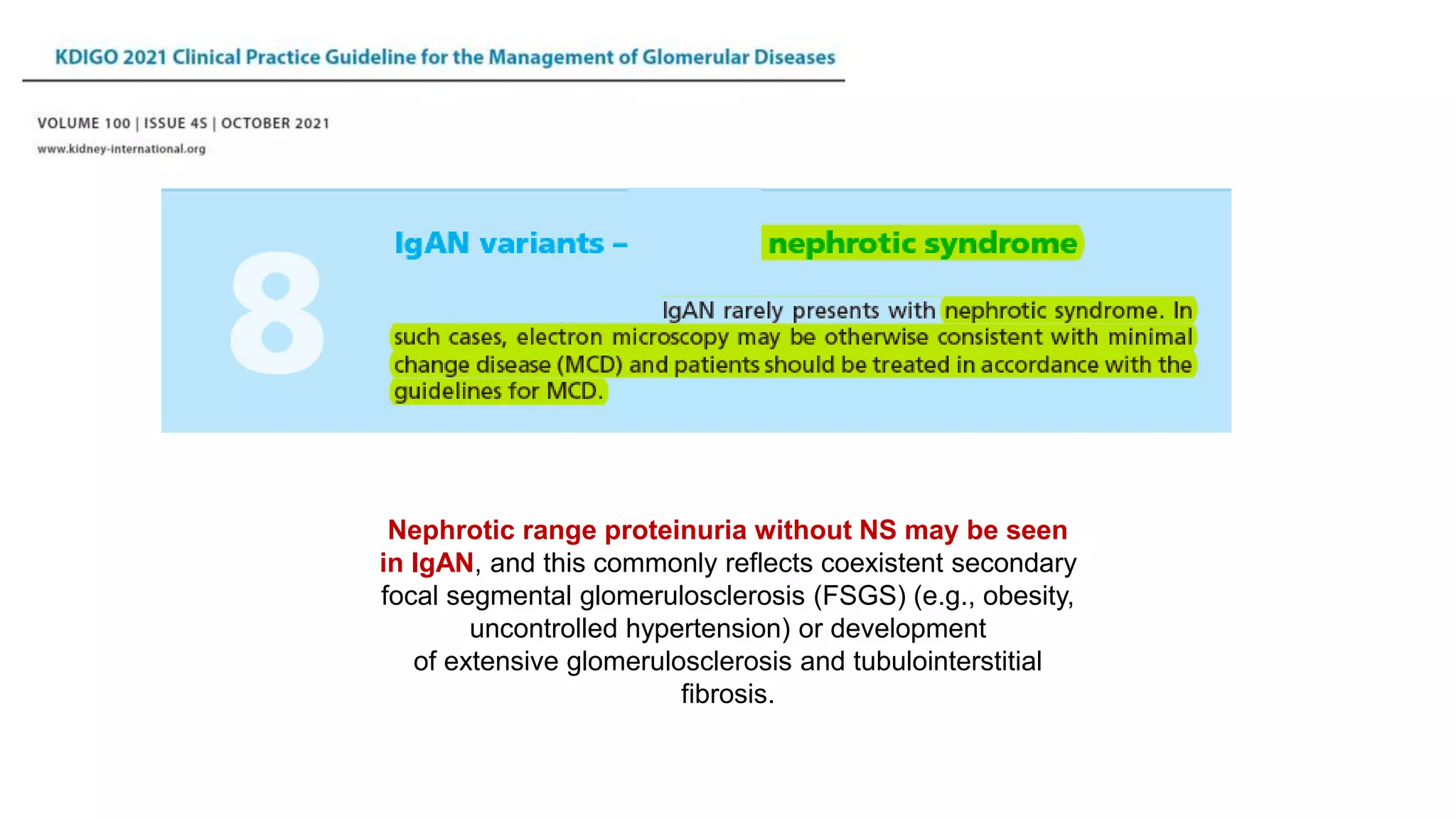 IgA Nephropathy (KDIGO 2021 Guidelines) - Dr. Gawad | PPTX