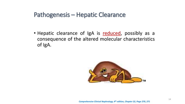 IgA Nephropathy (KDIGO 2021 Guidelines) - Dr. Gawad | PPTX | Digestive Disorders | Diseases and ...