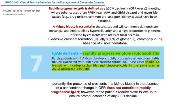 IgA Nephropathy (KDIGO 2021 Guidelines) - Dr. Gawad | PPTX | Digestive Disorders | Diseases and ...