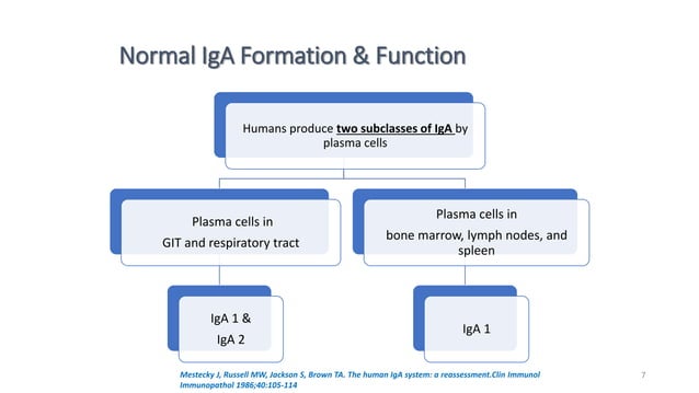 IgA Nephropathy (KDIGO 2021 Guidelines) - Dr. Gawad | PPTX | Digestive Disorders | Diseases and ...