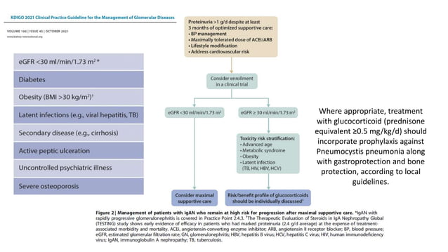 IgA Nephropathy (KDIGO 2021 Guidelines) - Dr. Gawad | PPT