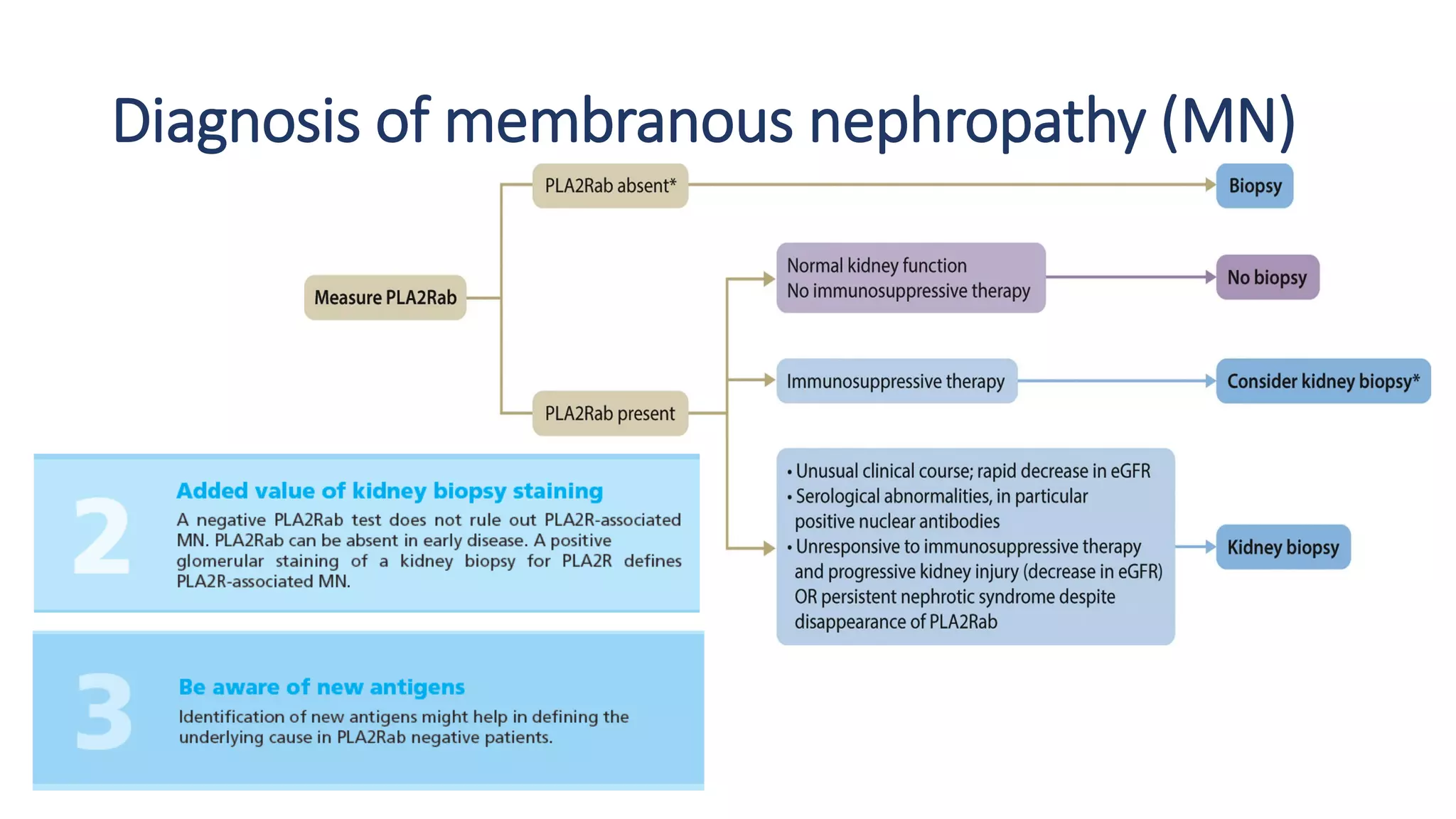 Membranous Nephropathy (KDIGO 2021 Guidelines) - Dr. Gawad | PDF
