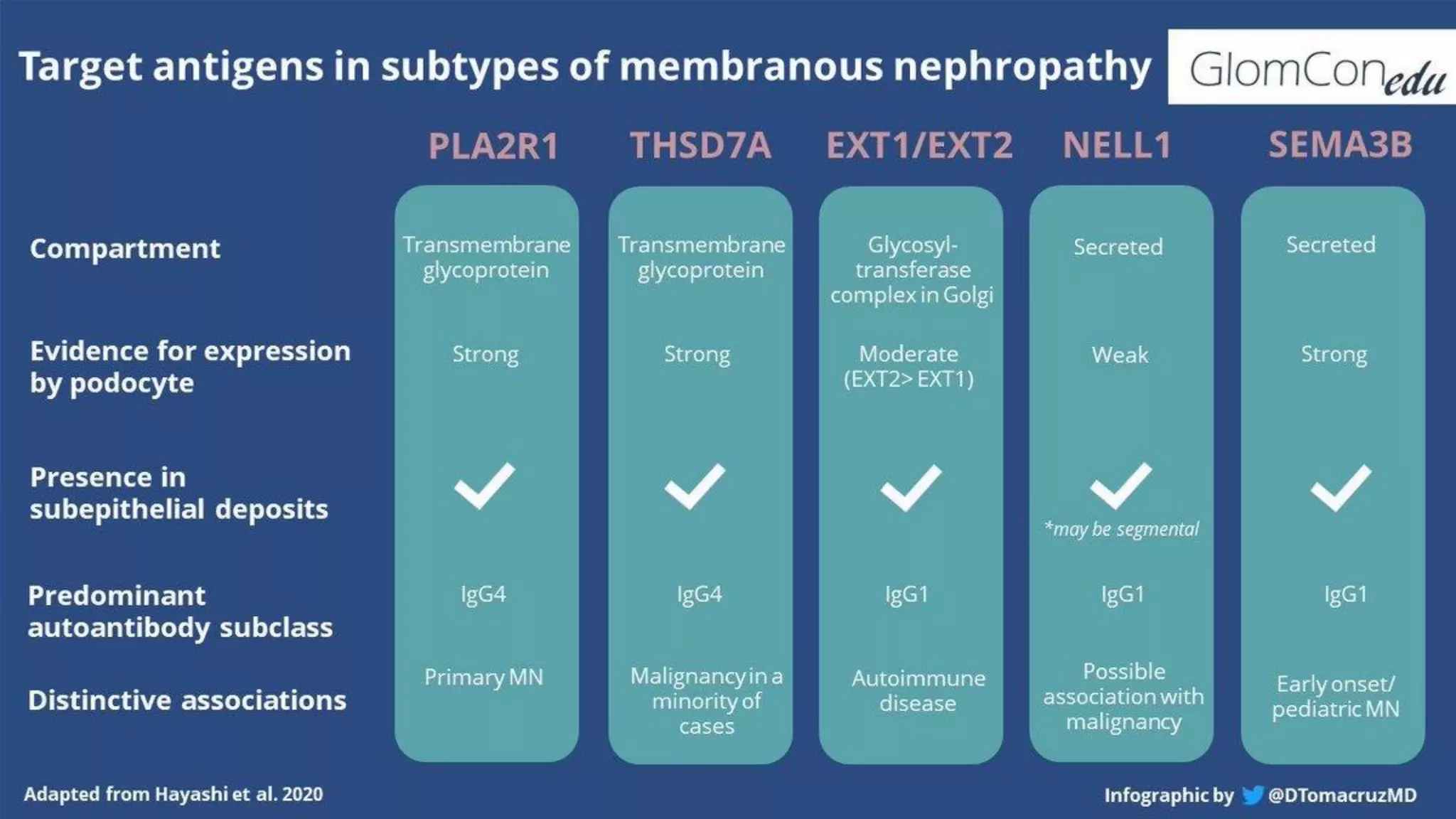 Membranous Nephropathy (KDIGO 2021 Guidelines) - Dr. Gawad | PDF