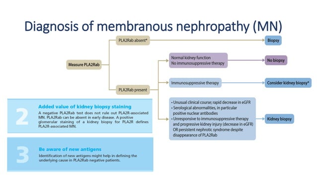 Membranous Nephropathy (KDIGO 2021 Guidelines) - Dr. Gawad | PDF