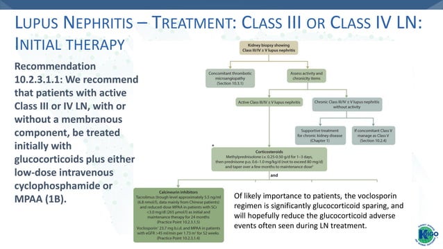 Lupus Nephritis (KDIGO 2021 Guidelines) - Dr. Gawad