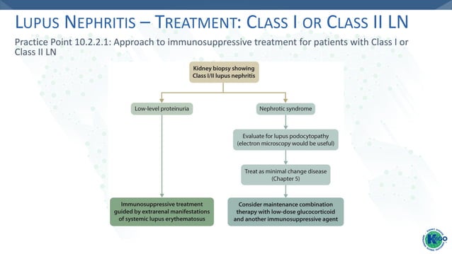 Lupus Nephritis (KDIGO 2021 Guidelines) - Dr. Gawad