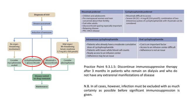 ANCA vasculitis (KDIGO 2021 Guidelines) - Dr. Gawad | PPT | Free Download