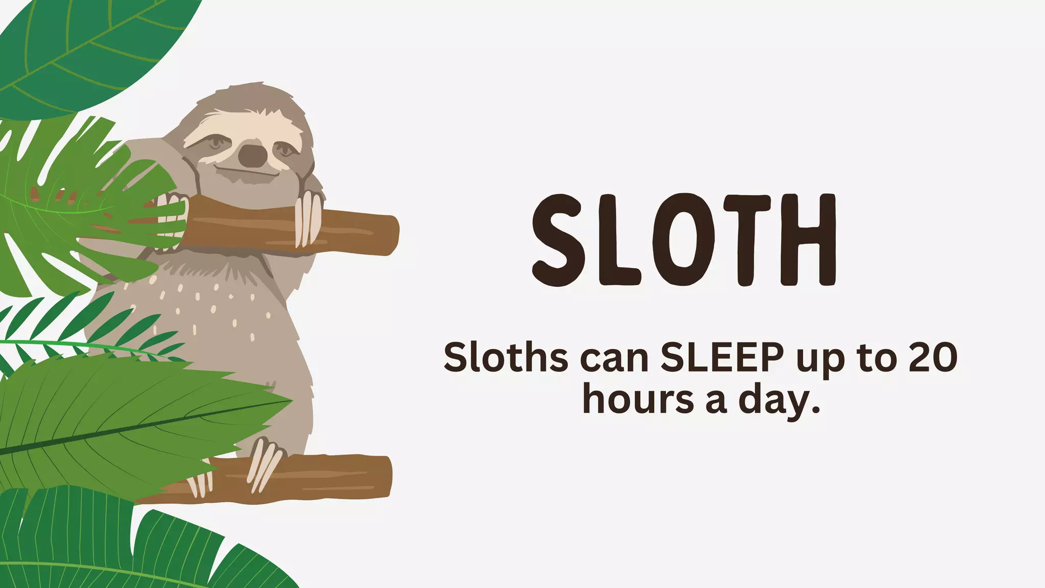 Learn Animal Names and Actions | PDF