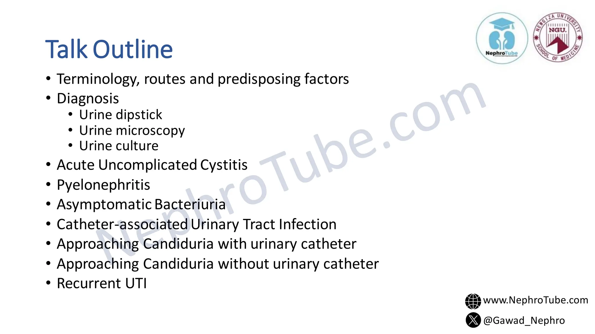 Urinary Tract Infection (Clinical Tips) - Dr. Gawad | PDF