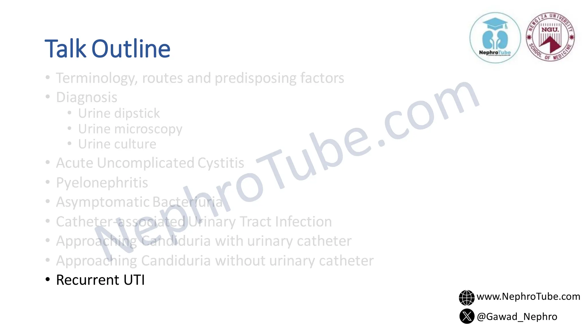 Urinary Tract Infection (Clinical Tips) - Dr. Gawad | PDF