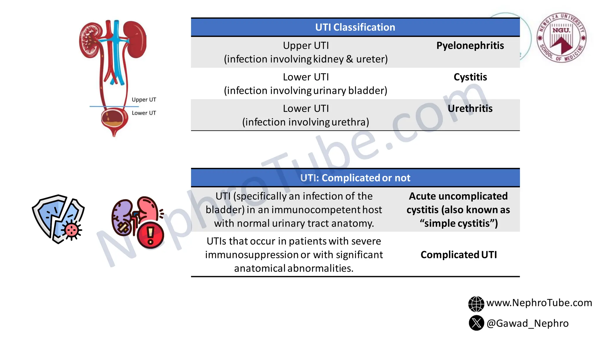 Urinary Tract Infection (Clinical Tips) - Dr. Gawad | PDF