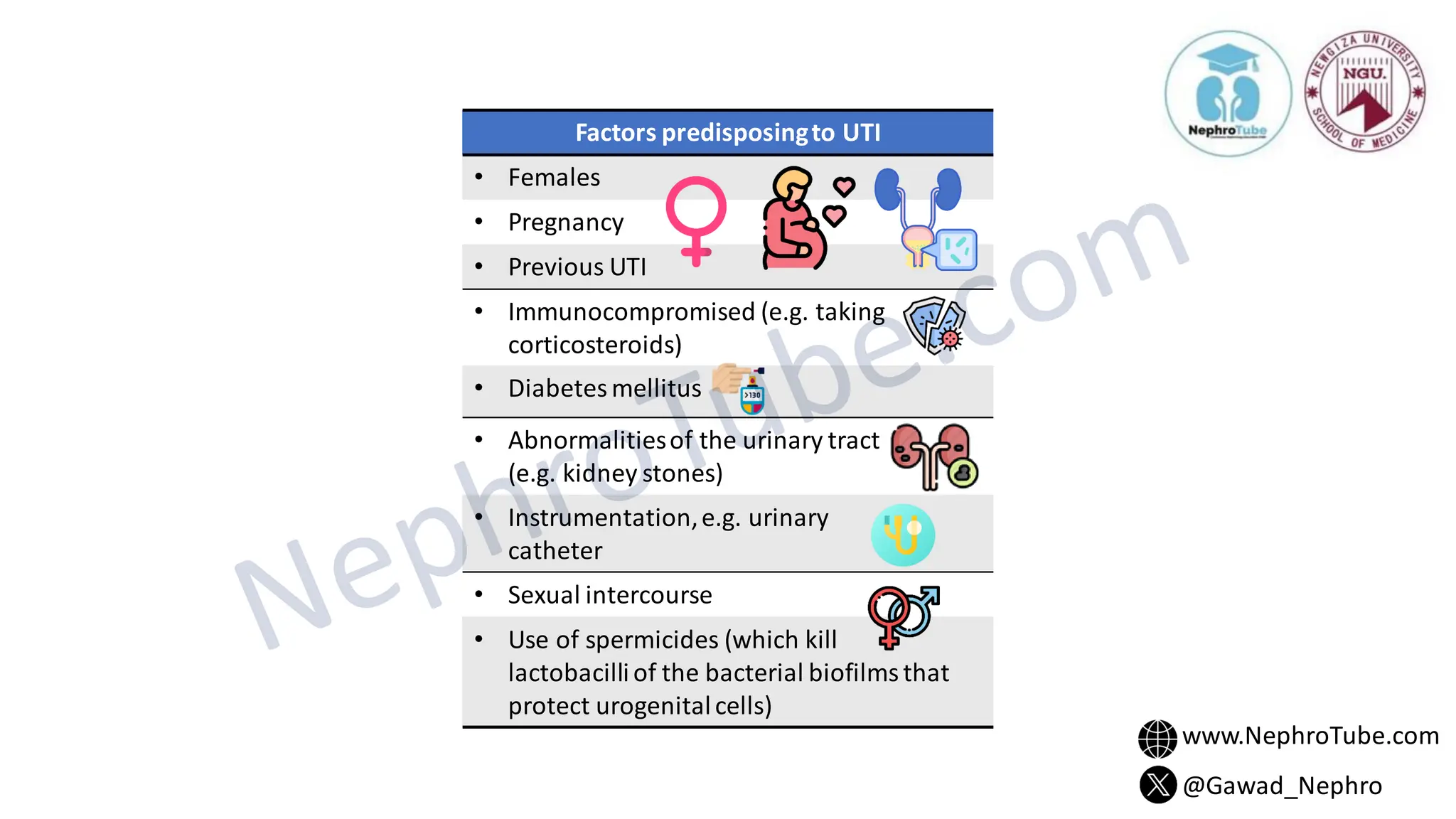 Urinary Tract Infection (Clinical Tips) - Dr. Gawad | PDF