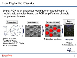 CYP2D6 Allele Specific Copy Number Analysis Using TaqMan® SNP ...