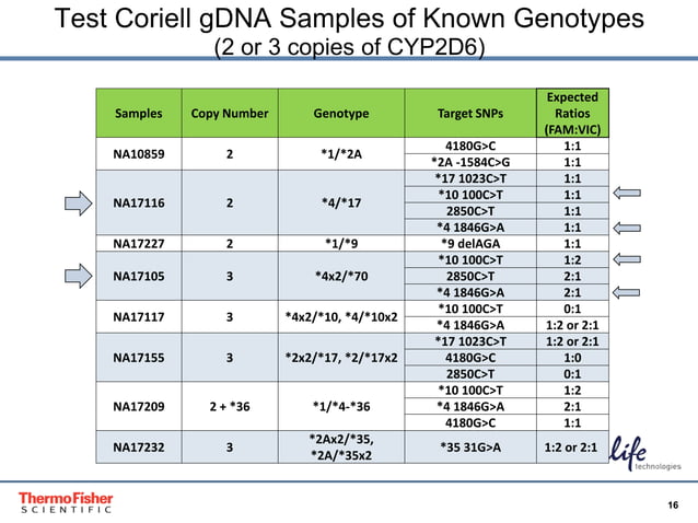 CYP2D6 Allele Specific Copy Number Analysis Using TaqMan® SNP ...