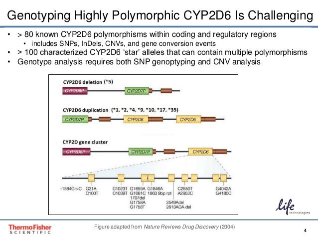 CYP2D6 Allele Specific Copy Number Analysis Using TaqMan® SNP Genotyp…