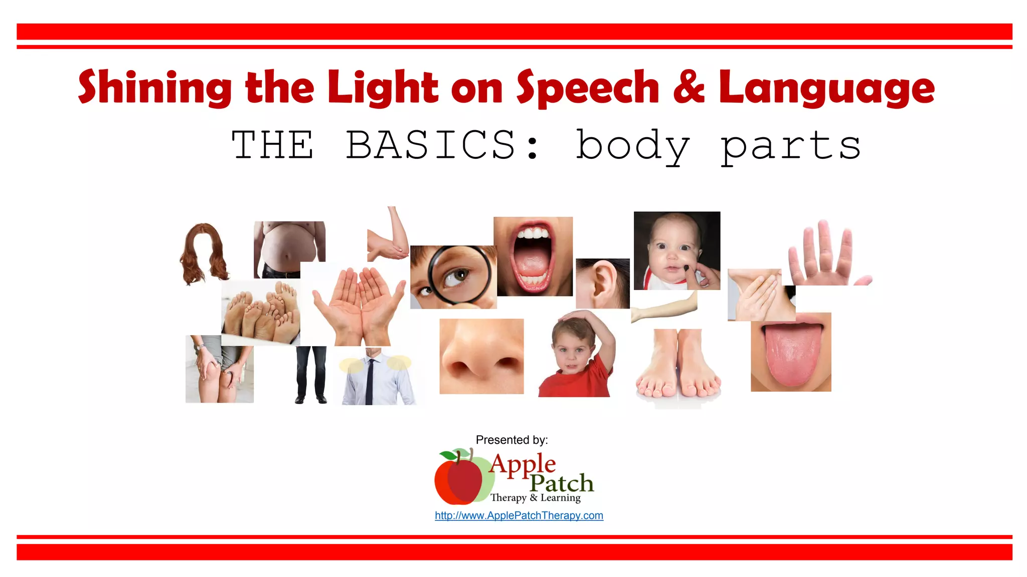The Basics: Body Parts | PDF