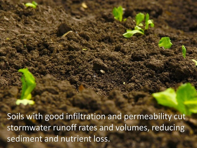 Cutting the cost of soil erosion | PPT