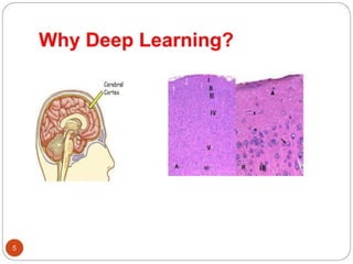 Deep learning | PPT