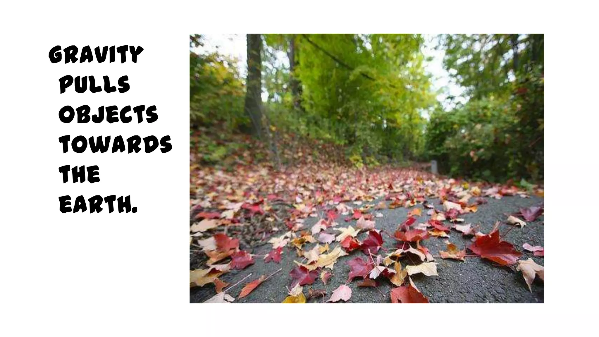 Slideshare gravity, friction | PPT