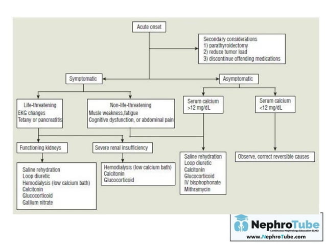 Hypercalcemia (Practical Approach) - Dr. Gawad | PDF | Endocrine and ...