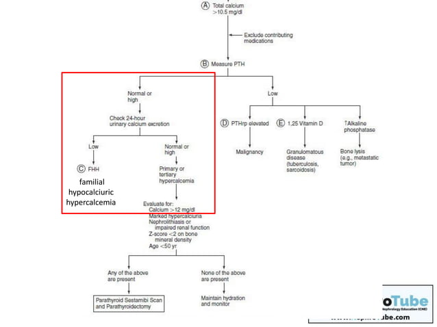 Hypercalcemia (Practical Approach) - Dr. Gawad