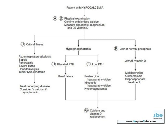 Hypocalcemia (Practical Approach) - Dr. Gawad