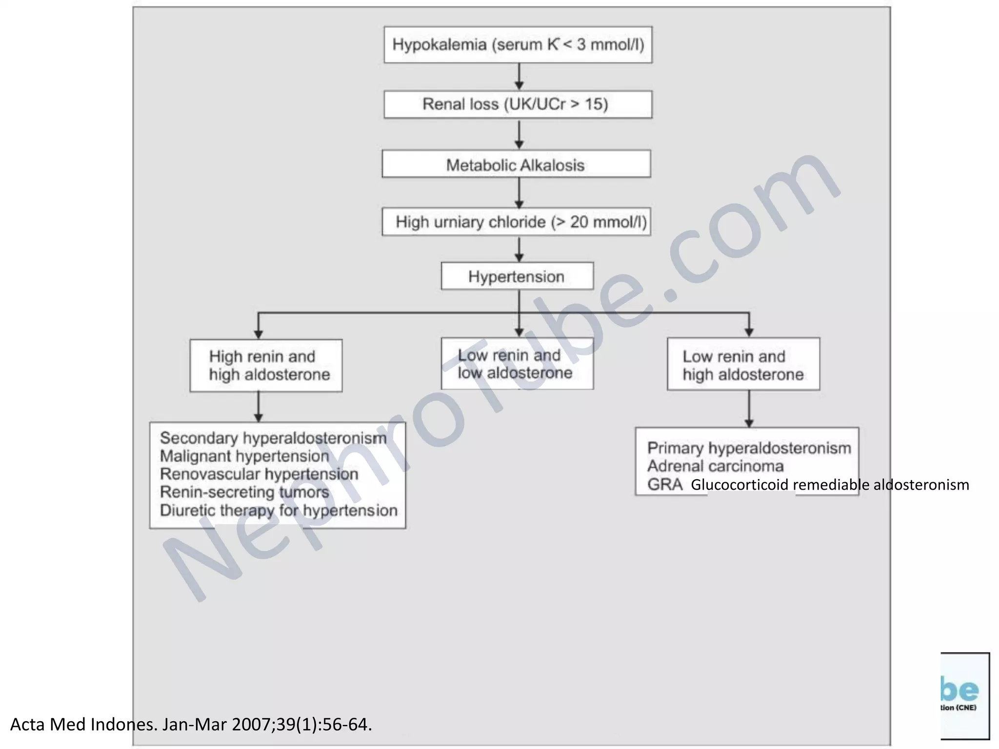 Hypokalemia (Practical Approach) - Dr. Gawad | PDF
