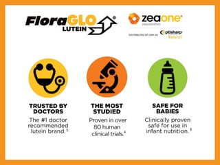 Kemin Human Nutrition and Health Ingredient Highlights | PPTX