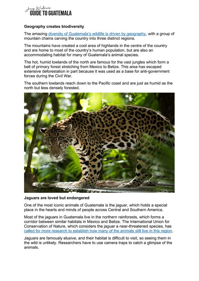 Living treasures: the native animals of Guatemala | Jürg Widmer Probst ...