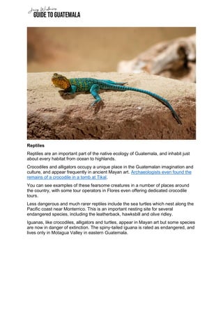 Living treasures: the native animals of Guatemala | Jürg Widmer Probst ...