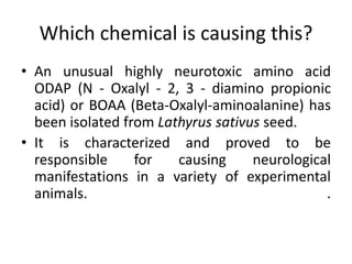 Stages Of Lathyrism