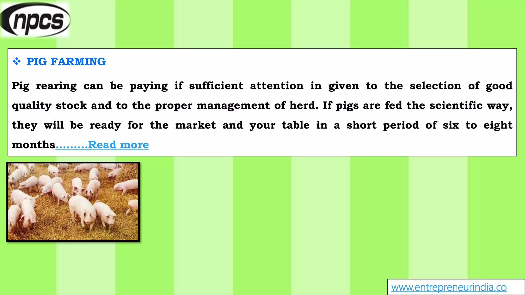 Most Profitable Livestock Farming, Animal Husbandry, Livestock Farm ...