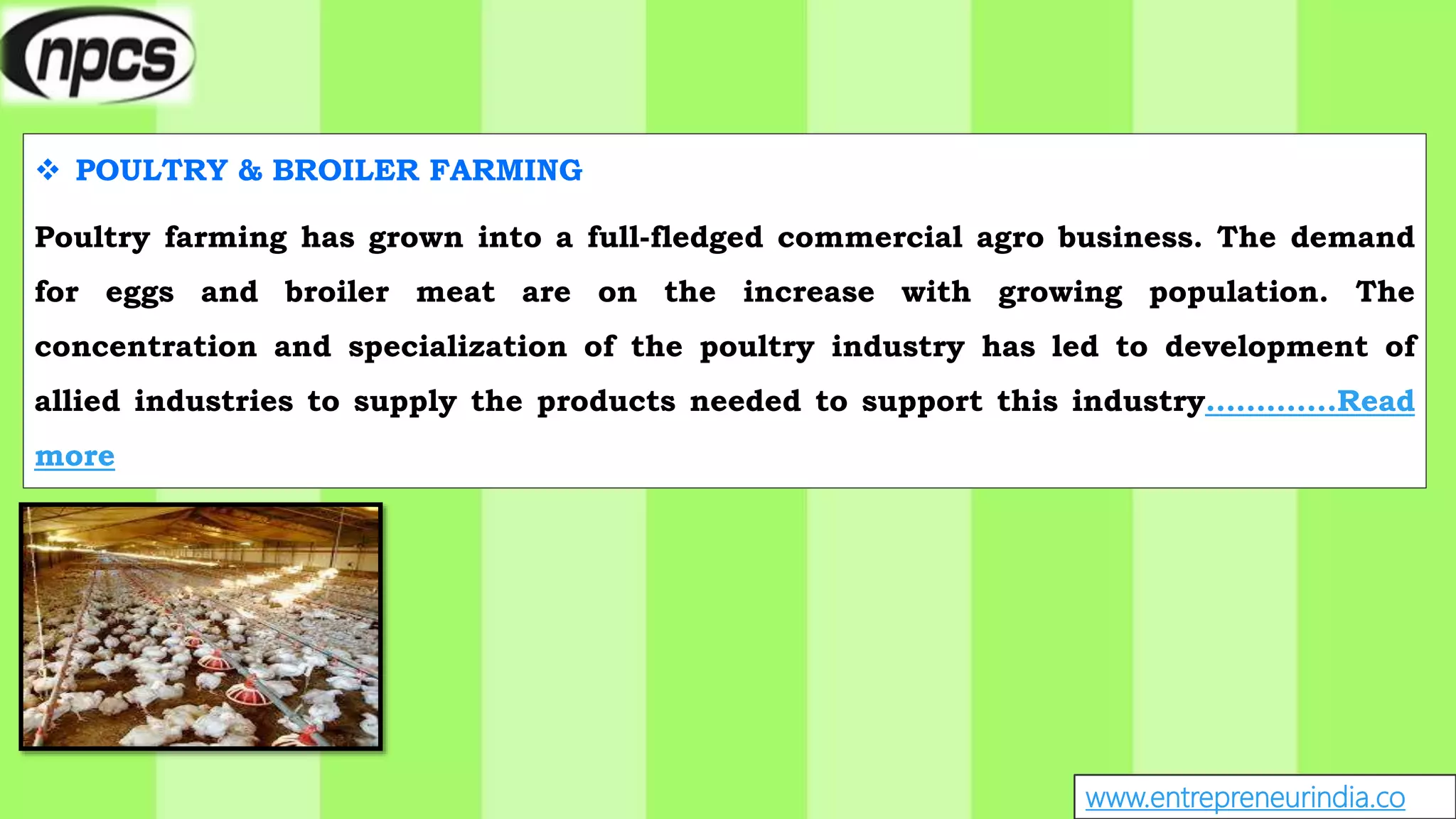 Most Profitable Livestock Farming, Animal Husbandry, Livestock Farm ...