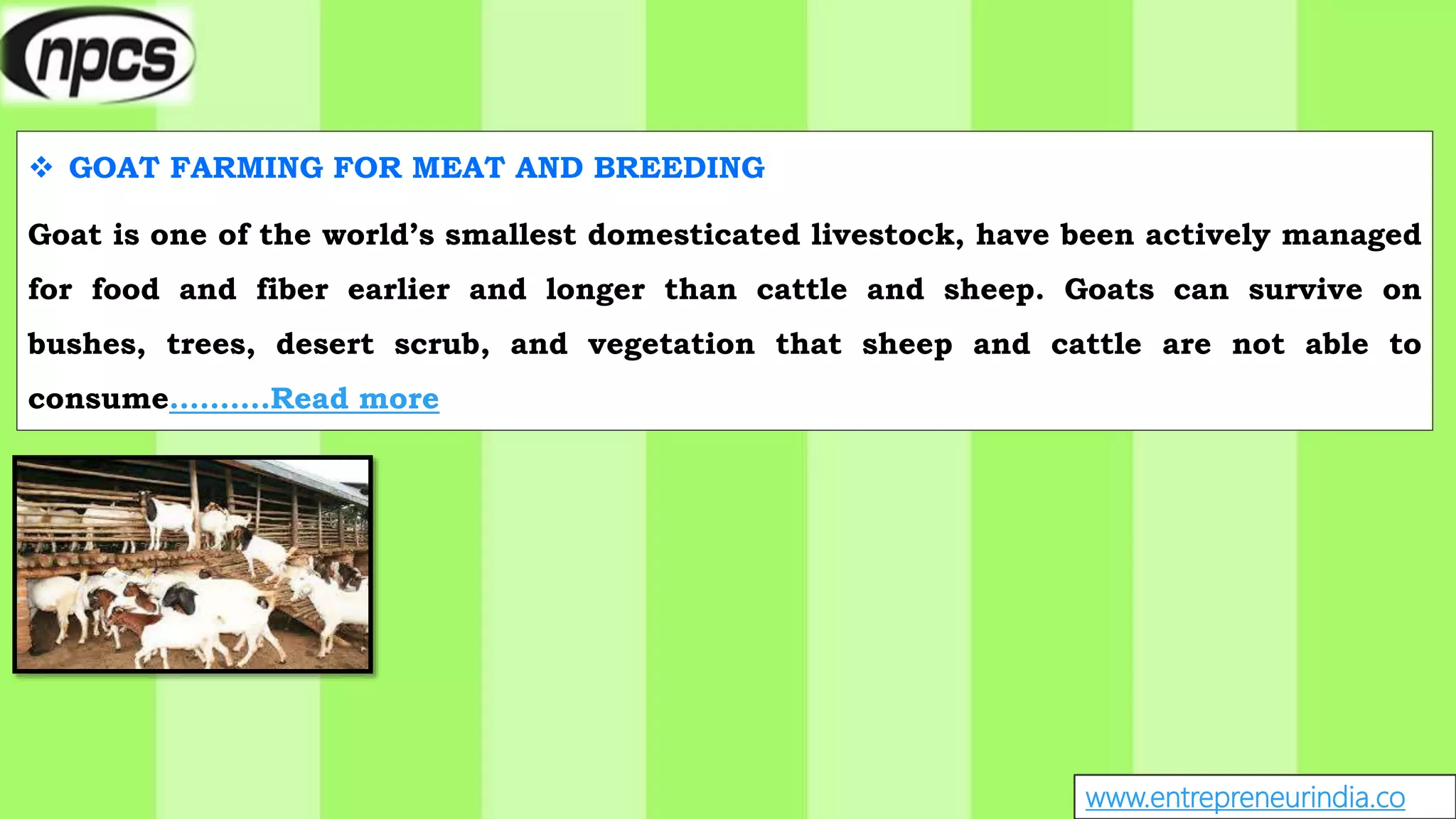 Most Profitable Livestock Farming, Animal Husbandry, Livestock Farm ...