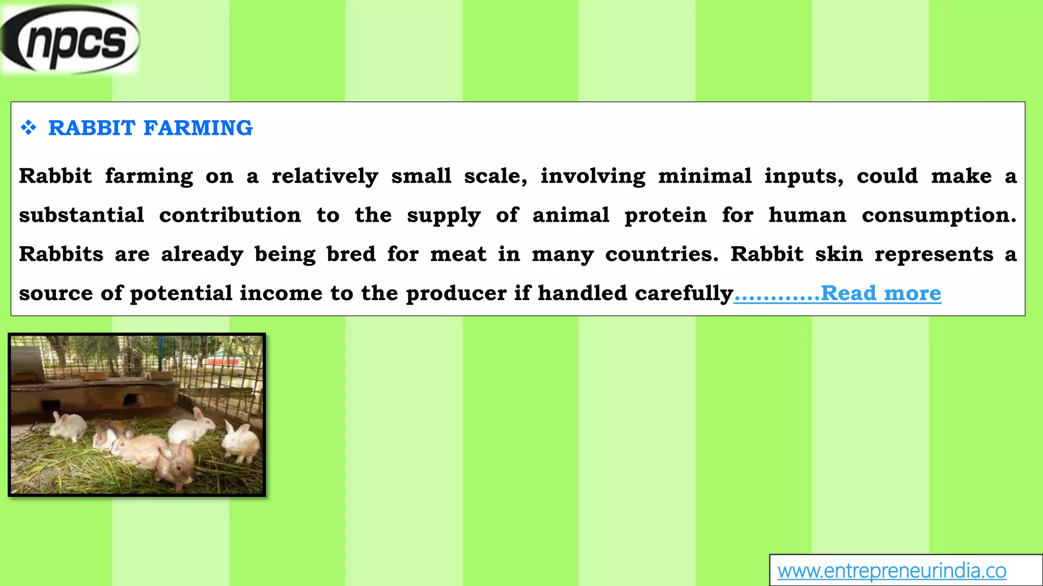 Most Profitable Livestock Farming, Animal Husbandry, Livestock Farm ...
