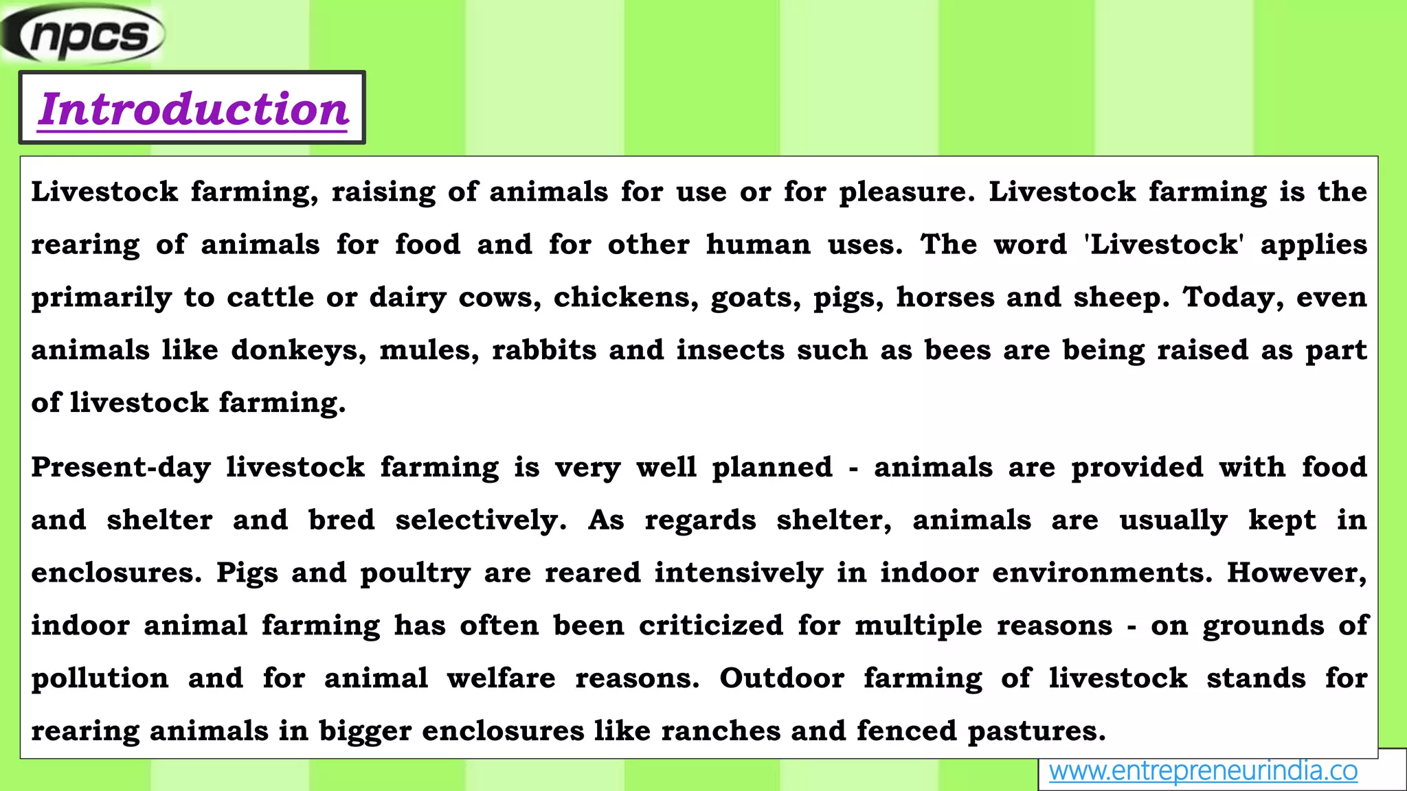 Most Profitable Livestock Farming, Animal Husbandry, Livestock Farm ...