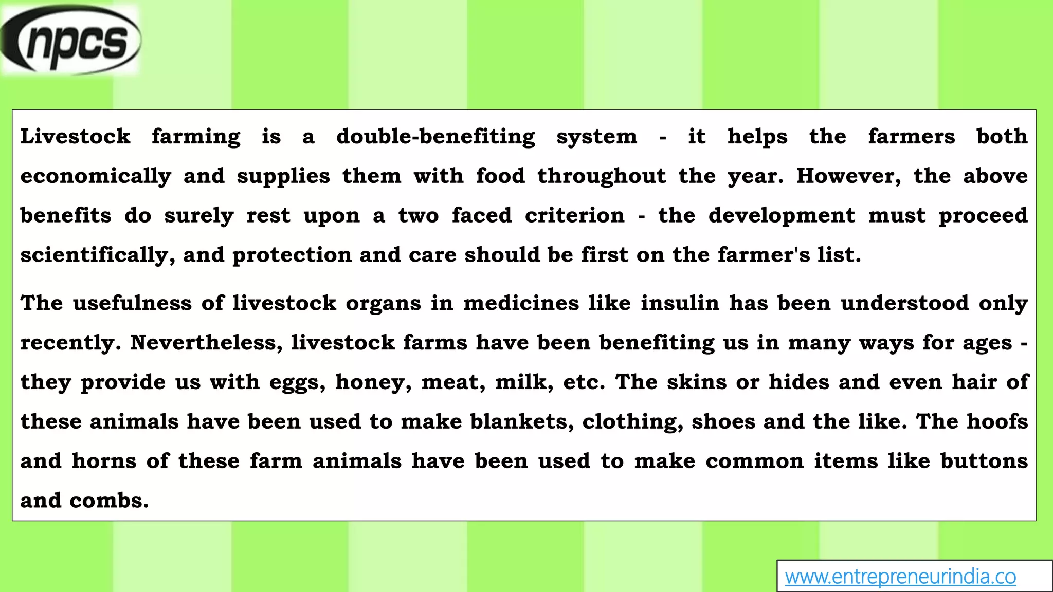 Most Profitable Livestock Farming, Animal Husbandry, Livestock Farm ...
