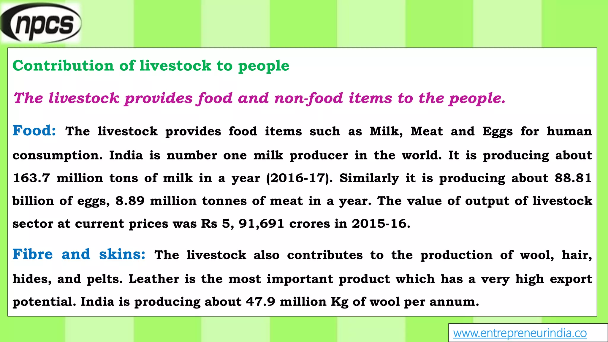 Most Profitable Livestock Farming, Animal Husbandry, Livestock Farm ...
