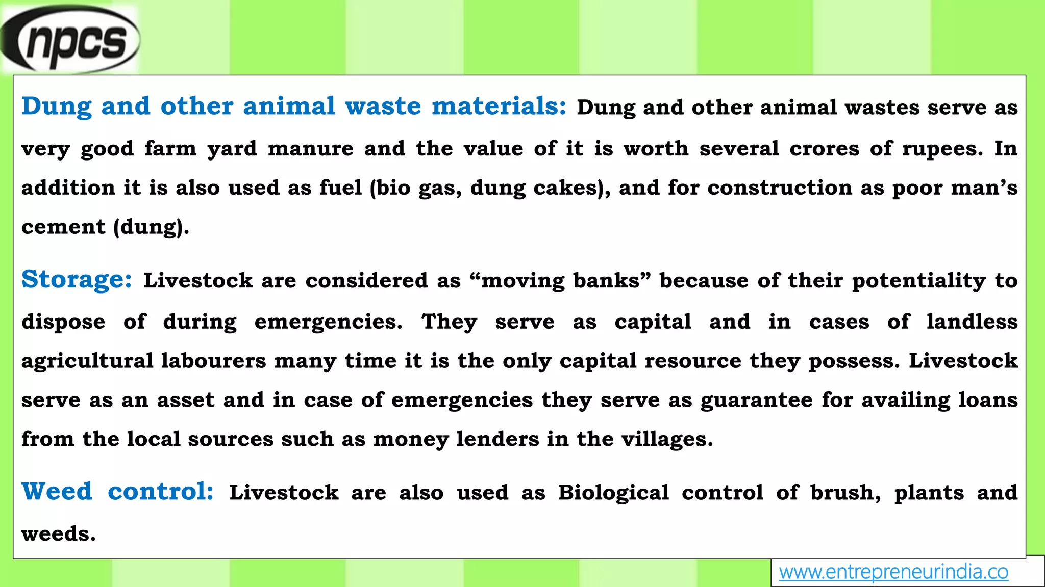 Most Profitable Livestock Farming, Animal Husbandry, Livestock Farm ...