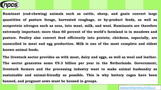 Most Profitable Livestock Farming, Animal Husbandry, Livestock Farm ...
