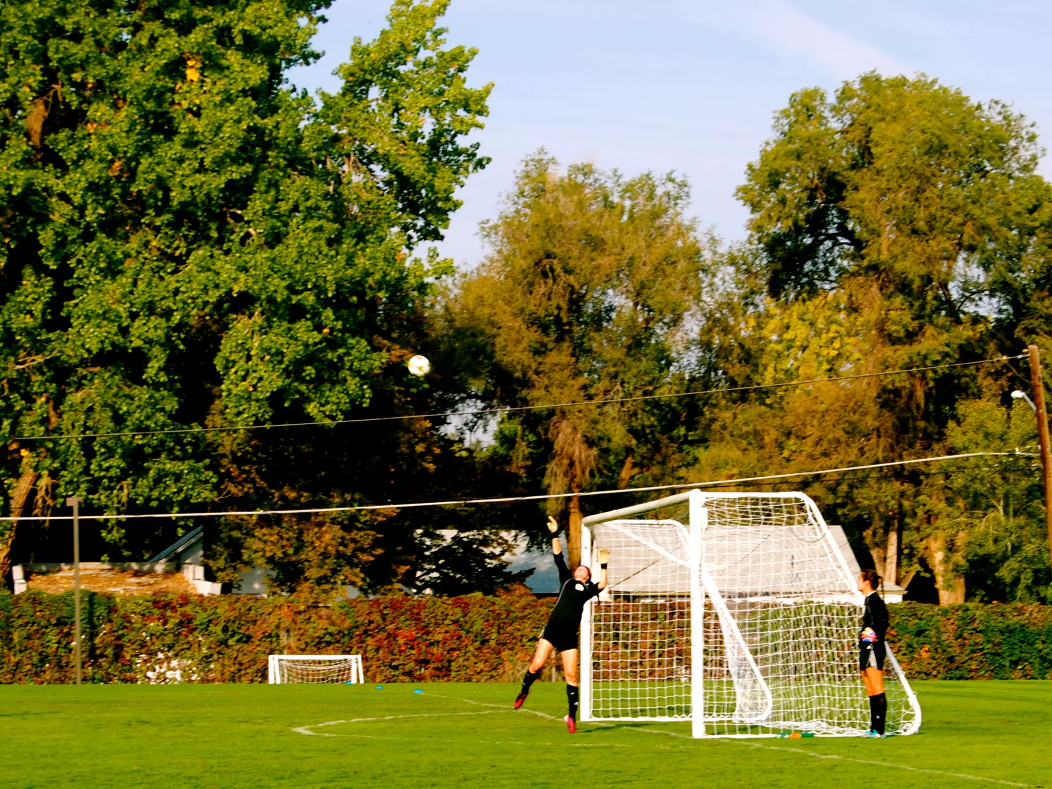 Balancing Division I athletics and academics | PDF