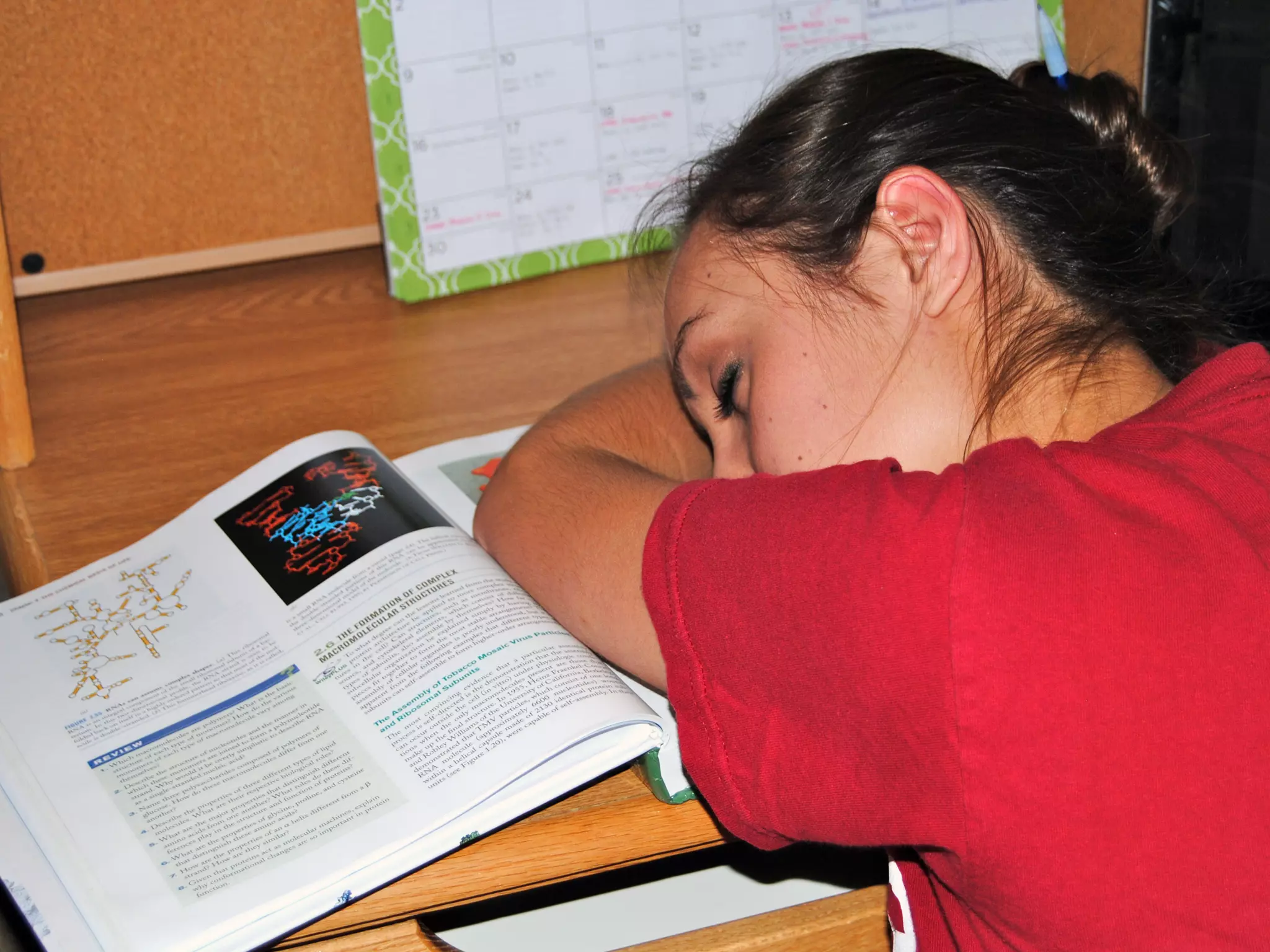 Balancing Division I athletics and academics | PDF