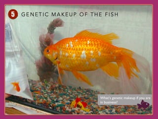 Goldfish Makeup